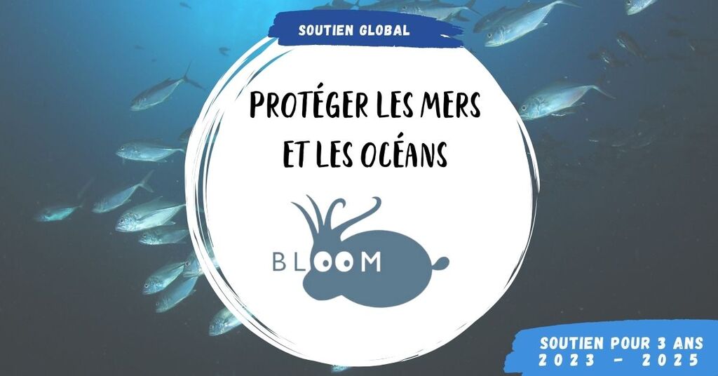 Préservons l'océan et la biodiversité marine avec Bloom