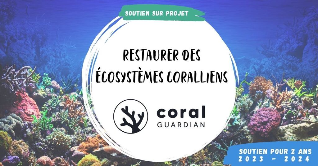 Coral Guardian - Protection et restauration des coraux