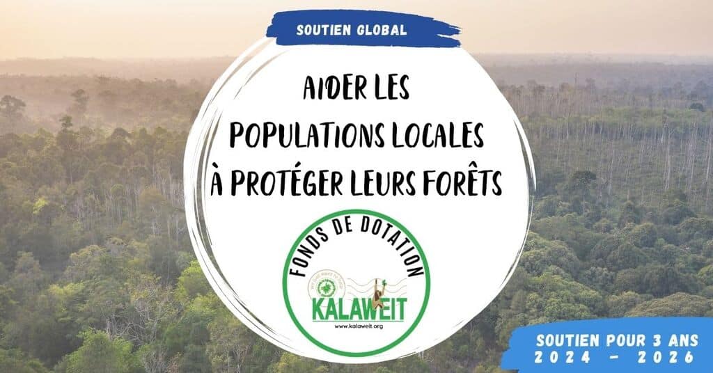 Kalaweit - Sauvegarde de la biodiversité en Indonésie